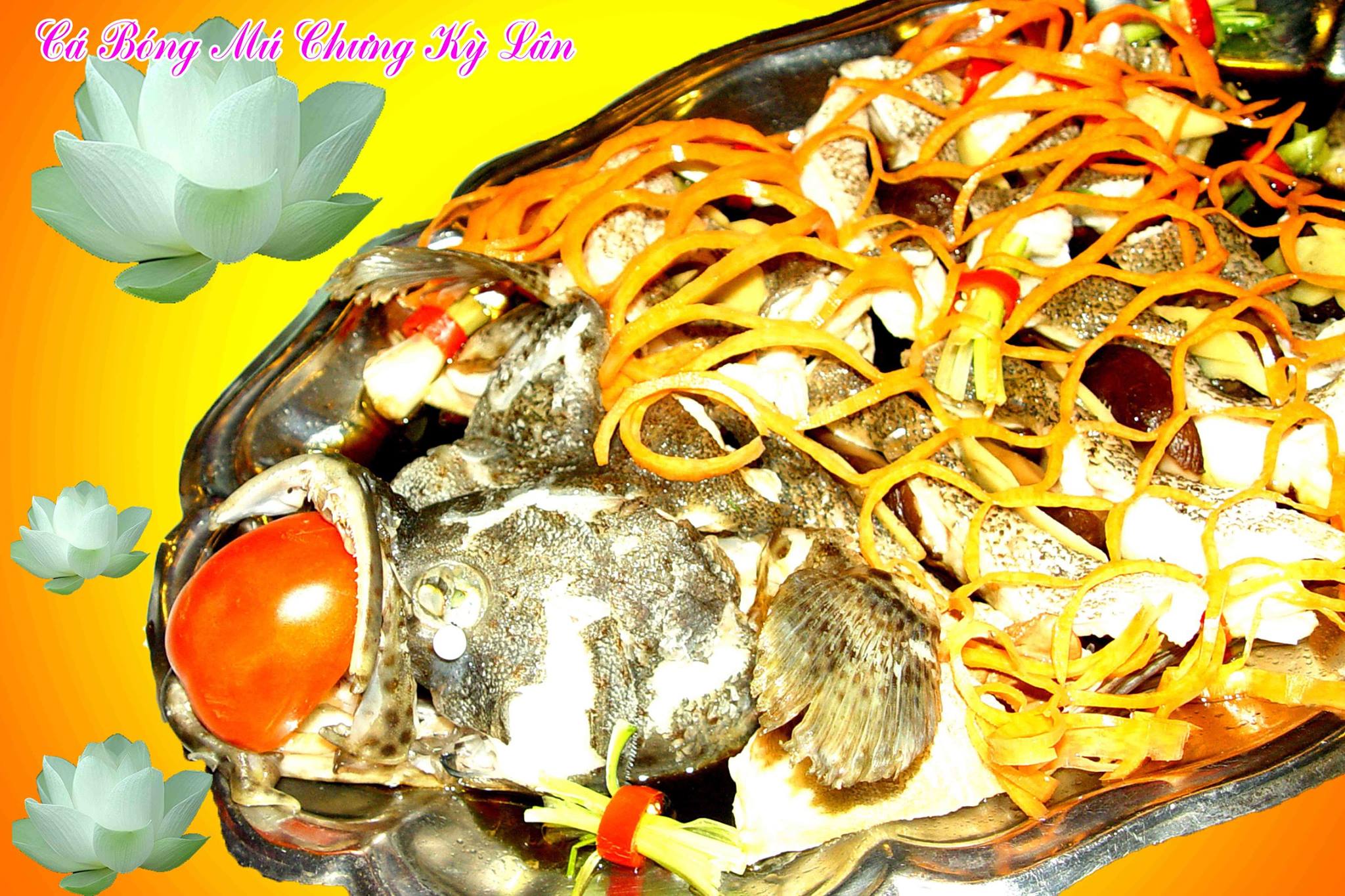 ca bong mu chung ky lan – Nhà hàng Thủy tạ Đầm Sen